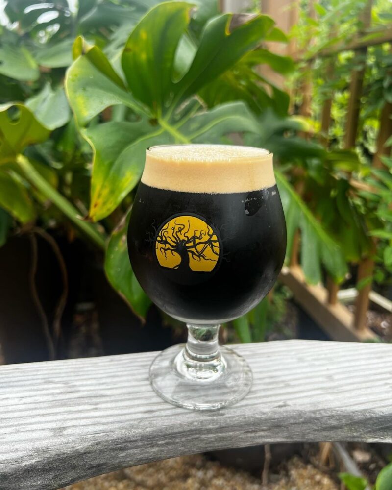 Products in the Market | TRiO Market OBX Kitty Hawk